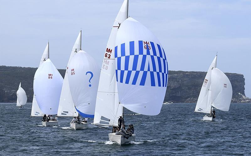 The fleet downwind on day 3 of the Adams 10 Australian Championship