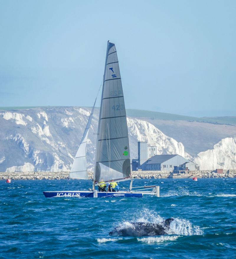 Weymouth Speed Week 2022: Icarus and dolphins