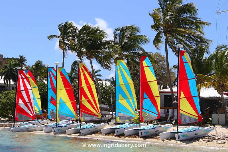 49th St. Thomas International Regatta Day 3