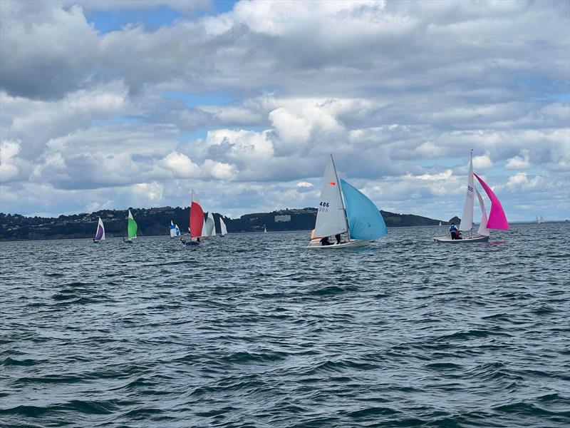 Noble Marine Comet Trio Nationals 2023 at Brixham