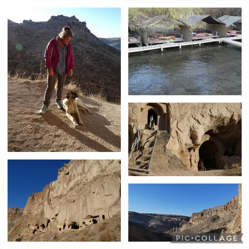 Ihlara Valley Hike - The street dog walked beside Maree the entire way ...