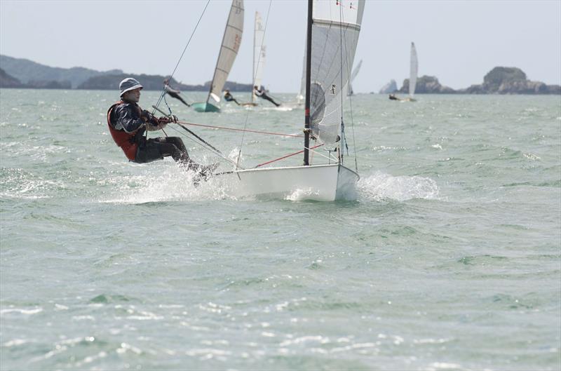 Farr 3.7 New Zealand National Championships