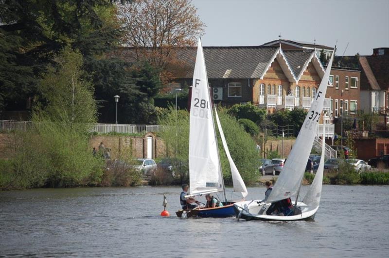 Firefly Elizabeth Cup at Tamesis