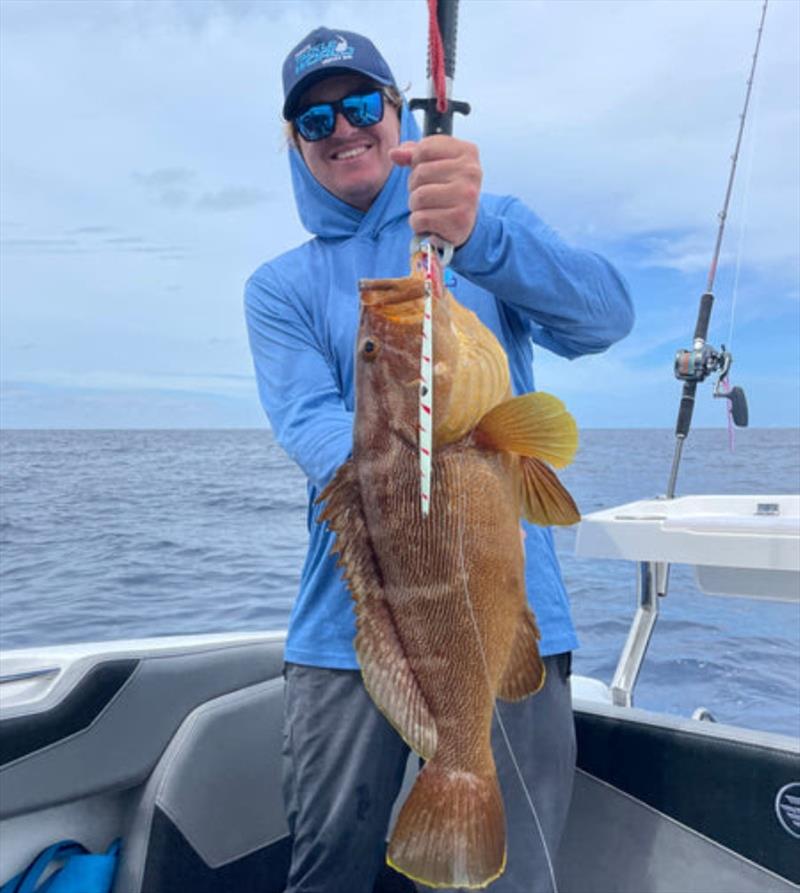 Tom jigged up a plump brown Maori cod offshore last weekend. The fish ...