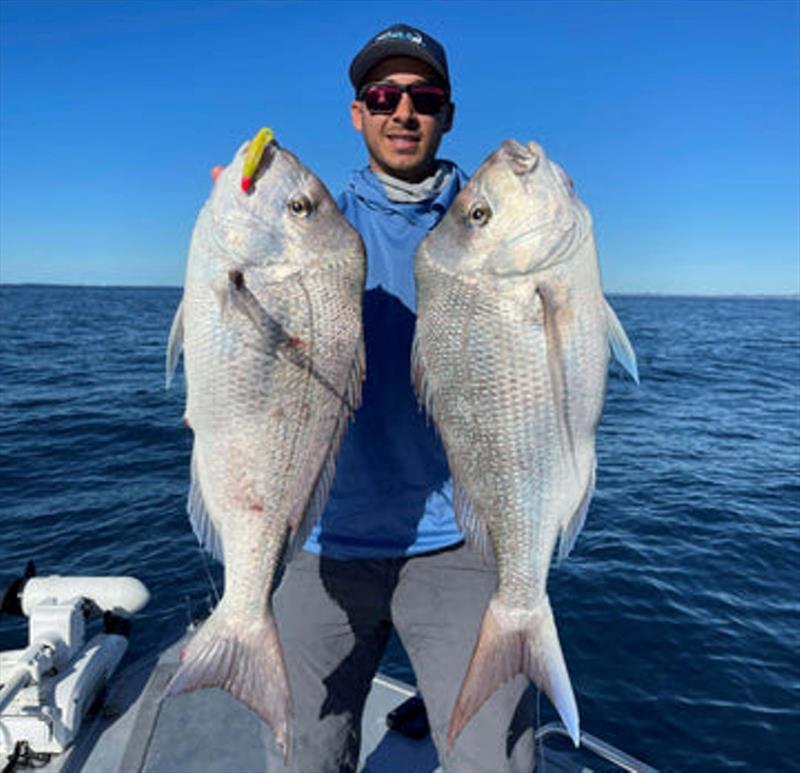 We have had to resurrect an old photo of inshore snapper from last year ...