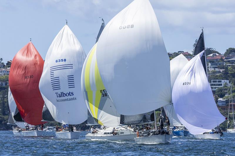 Exciting competition in the Sydney Harbour Sprint Series