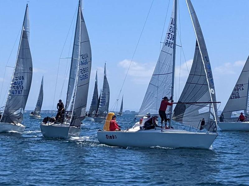 Australian J/24 Nationals