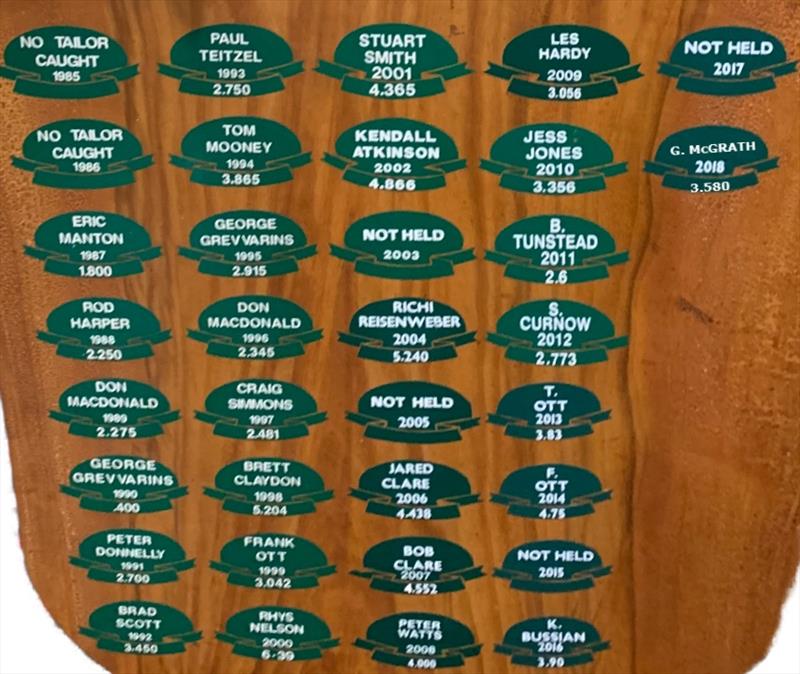 Greenback Tailor Champion