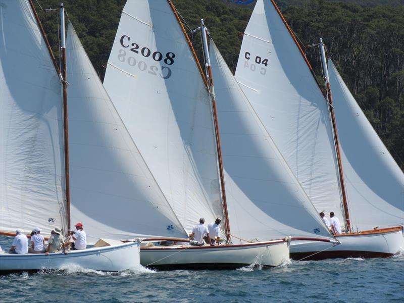 The Wattle Cup on Pittwater