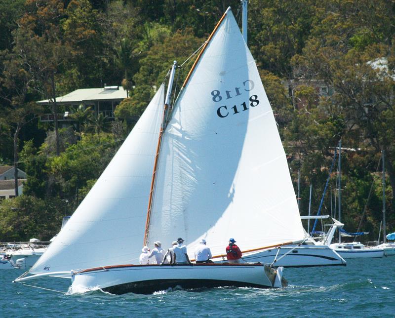 The Wattle Cup on Pittwater