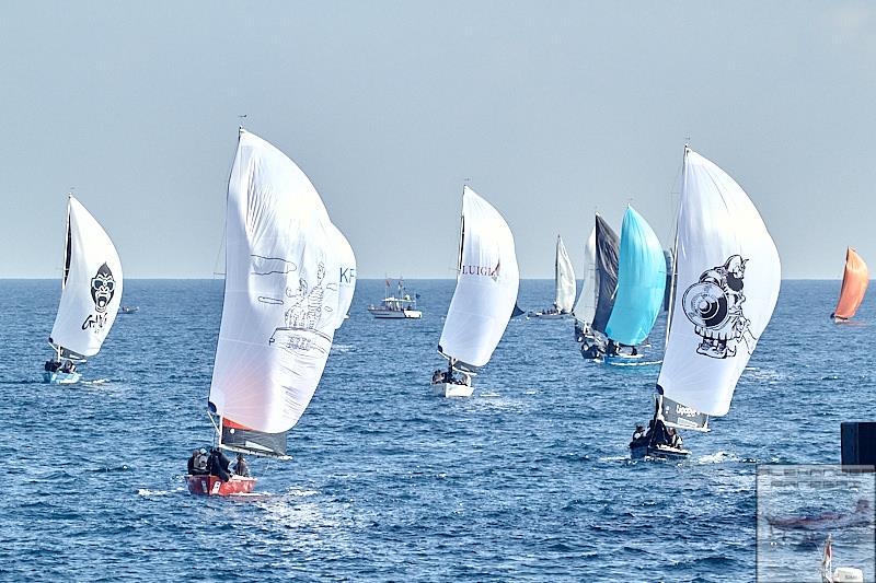 39° Primo Cup 2023