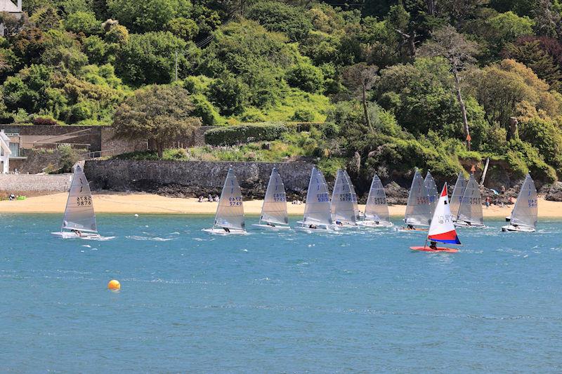 Sailing Club Series race 6 at Salcombe YC