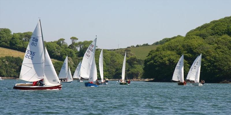 Dayboat Week at Salcombe