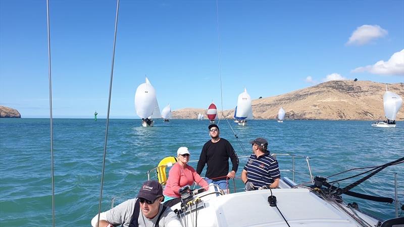 Racing in the 2019 Young 88 South Island Championships